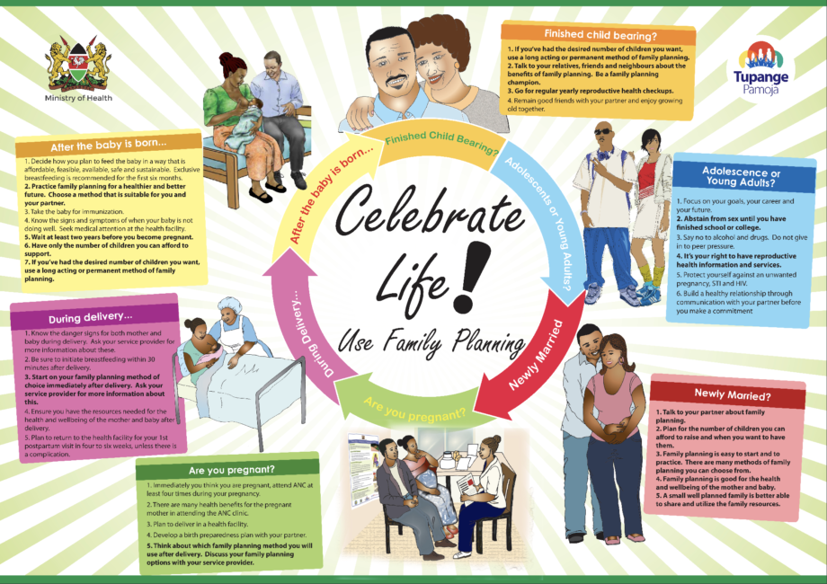 Celebrate Life Strategy Poster | The Challenge Initiative