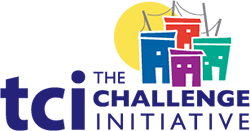 TCI’s Core High-Impact Practices | The Challenge Initiative