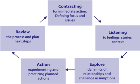 Different Coaching Models | The Challenge Initiative