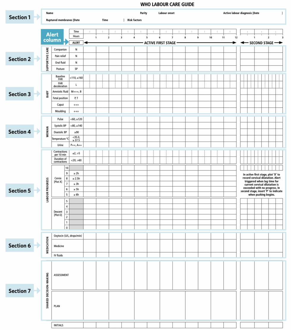 Monitoring Labor with the Partograph and Labor Care Guide | The ...