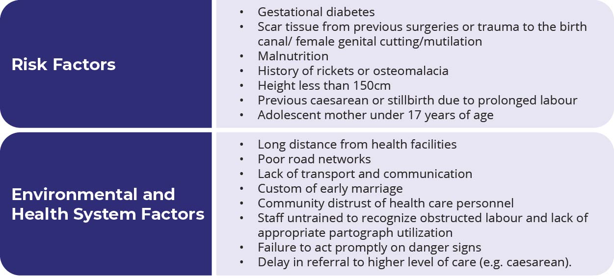 Obstructed Labor | The Challenge Initiative